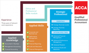 The Ultimate Guide: ICAEW vs ACCA vs CFA - Cemerlang