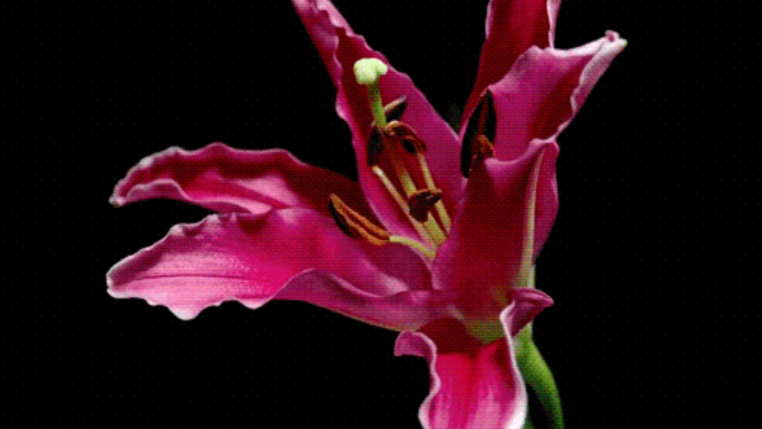 Every story is different, and some are just misunderstood. - Cemerlang